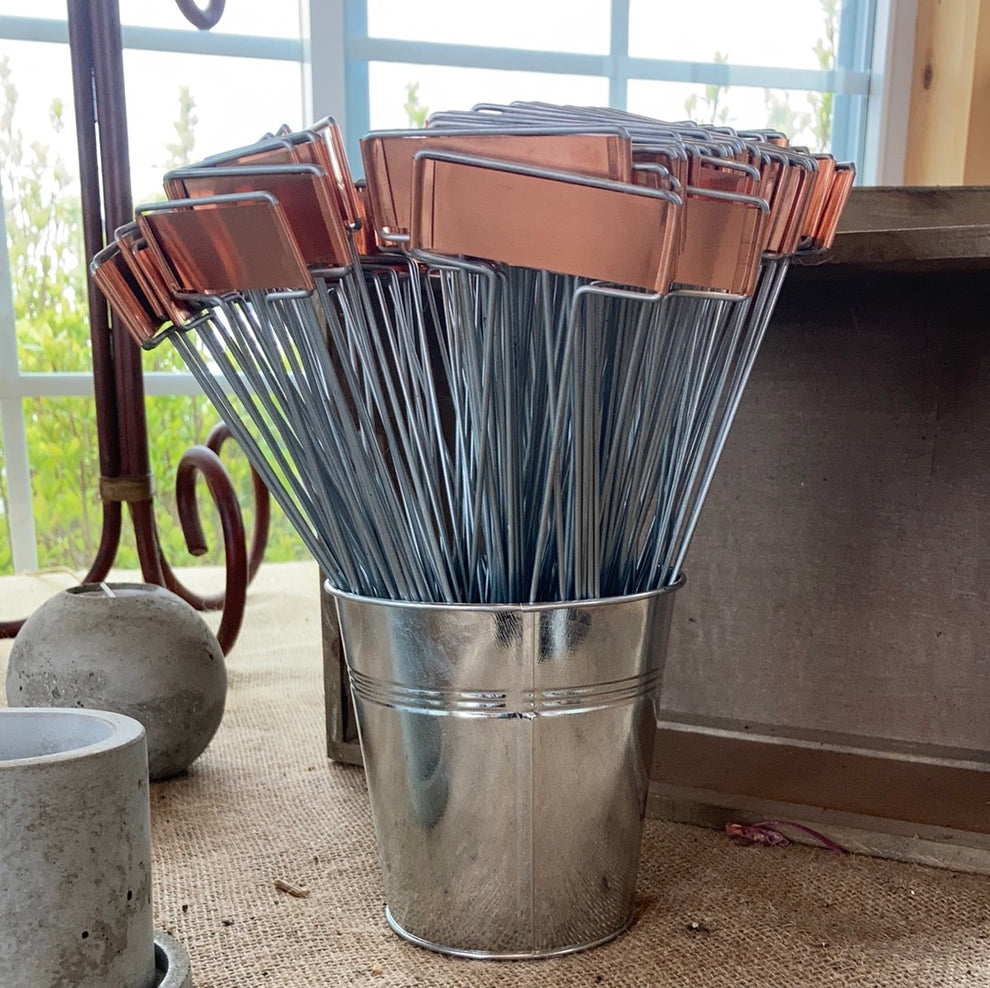 Copper Plant Tag – Everything Botanical